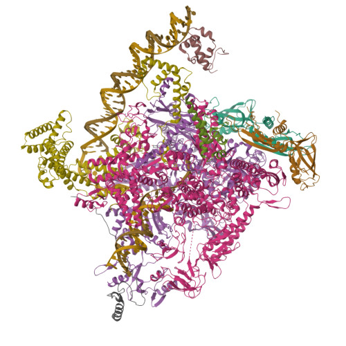 RCSB PDB - 8FTD: Structure of Escherichia coli CedA in complex with ...