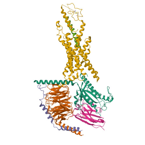 RCSB PDB - 8FU6: GCGR-Gs complex in the presence of RAMP2