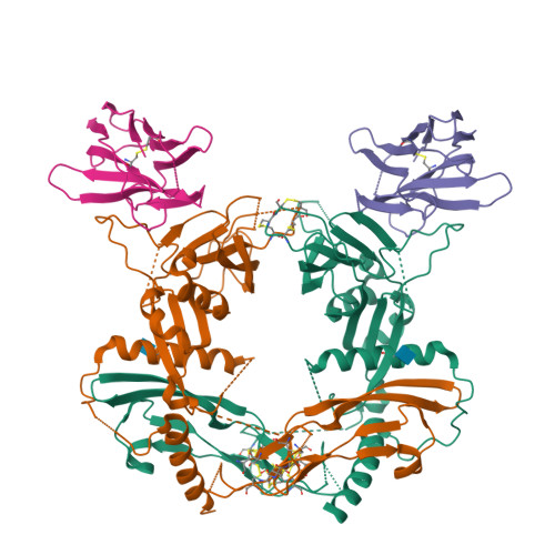 RCSB PDB - 8FXS: Crystal structure of human pro-TGF-beta2 in complex ...