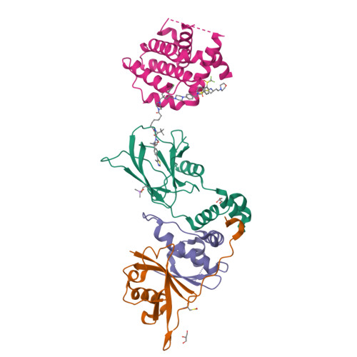 RCSB PDB - 8FY0: E3:PROTAC:target ternary complex structure (VCB/753b ...