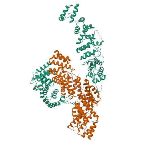 RCSB PDB - 8FY3: Structure of NOT1:NOT10:NOT11 module of the human CCR4 ...