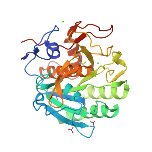 RCSB PDB - 8FYP: MicroED structure of Proteinase K from xenon milled ...