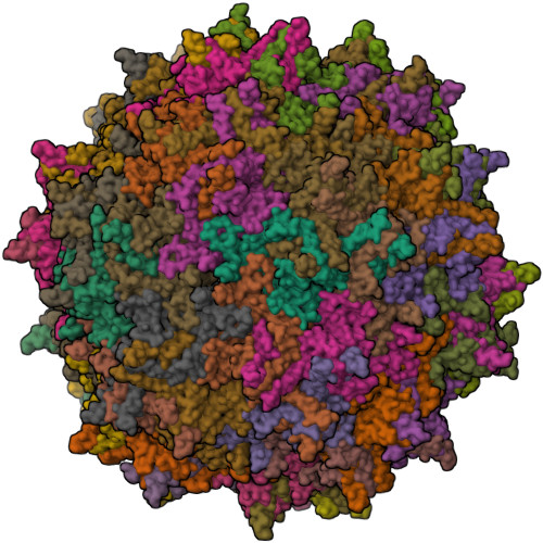 RCSB PDB - 8FZN: Cryo-EM Structure of AAV2-R404A Variant