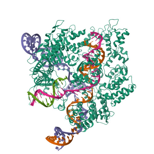 RCSB PDB - 8FZT: SpCas9 with dual-guide RNA and target DNA