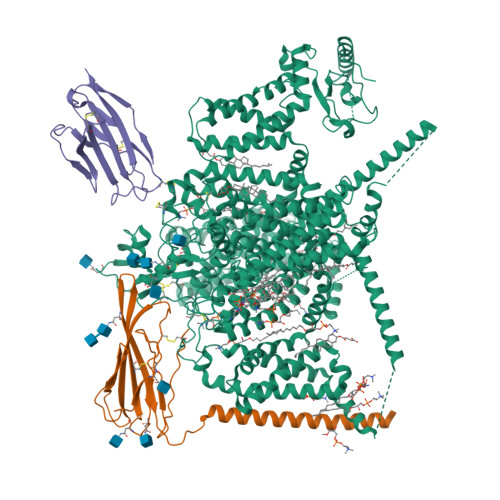 RCSB PDB - 8G1A: Cryo-EM structure of Nav1.7 with CBD
