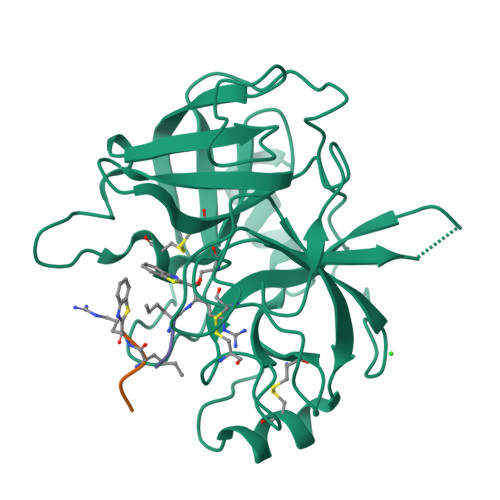 RCSB PDB - 8G1W: Crystal Structure Matriptase (C731S) in Complex with ...