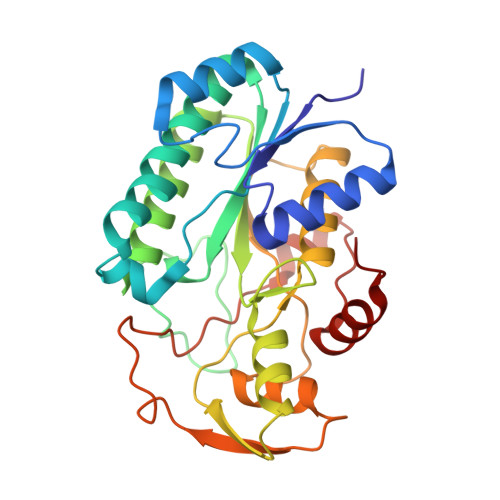 RCSB PDB - 8G22: Crystal Structure of the dTDP-4-dehydrorhamnose ...