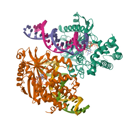 RCSB PDB - 8G2Q: Structure of Ternary Complex of mouse cGAS with dsDNA ...
