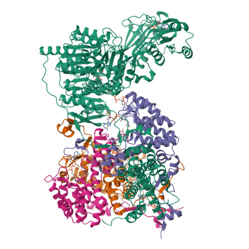 RCSB PDB - 8G5C: Structure of ACLY-D1026A-substrates, local refinement ...