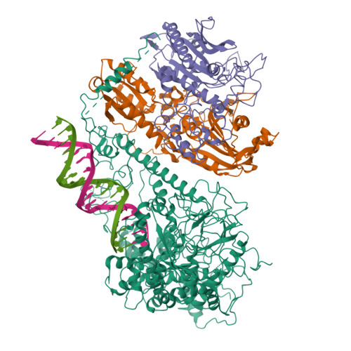 RCSB PDB - 8G5K: Cryo-EM structure of the Wedge Alignment Complex (VIII) of Human Mitochondrial ...