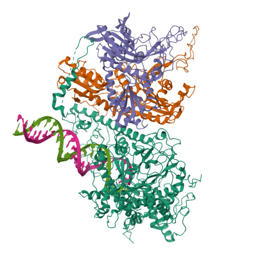 RCSB PDB - 8G5M: Cryo-EM structure of the Mismatch Locking Complex (III ...