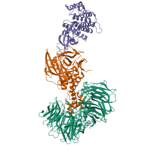 RCSB PDB - 8G66: Structure with SJ3149