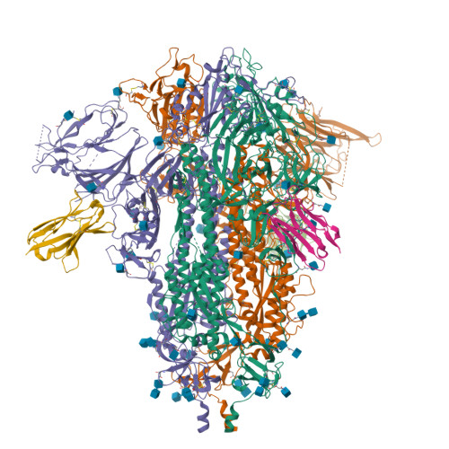 RCSB PDB - 8G76: SARS-CoV-2 spike/Nb5 complex