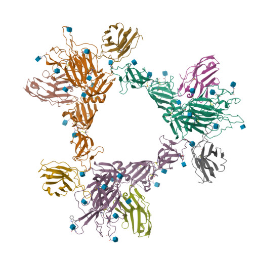 RCSB PDB - 8G78: Local refinement of SARS-CoV-2 spike/nanobody mixture ...