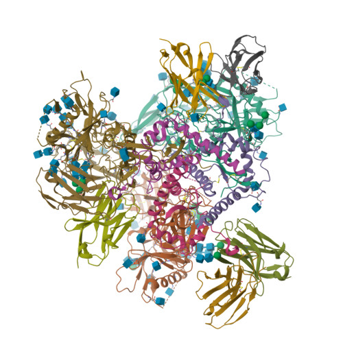 RCSB PDB - 8G85: vFP52.02 Fab in complex with BG505 DS-SOSIP Env trimer