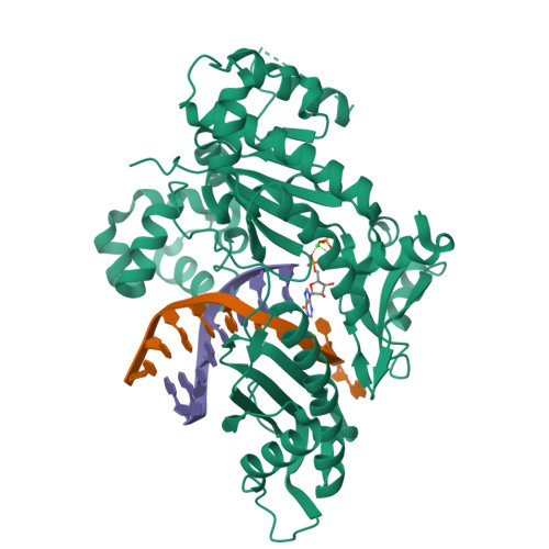 RCSB PDB - 8G8H: Crystal structure of human DNA polymerase eta ...