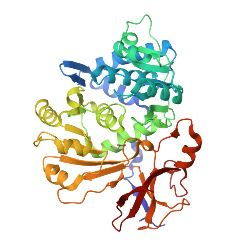 RCSB PDB - 8G96: Adenylation domain structure from NRPS-like Delta-Poly ...