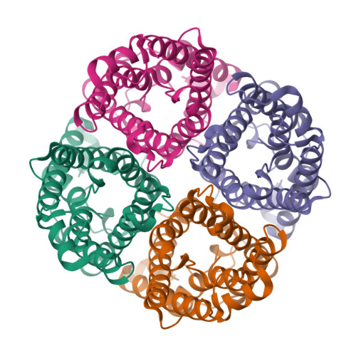 RCSB PDB - 8GCL: Cryo-EM structure of hAQP2 in DDM