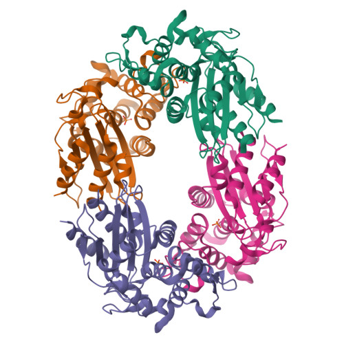 RCSB PDB - 8GCT: XFEL structure of Mycobacterium tuberculosis beta ...