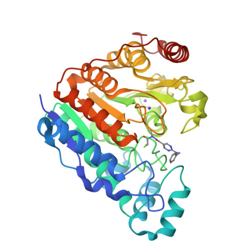 RCSB PDB - 8GD4: Crystal Structure of Danio rerio histone deacetylase 6 ...