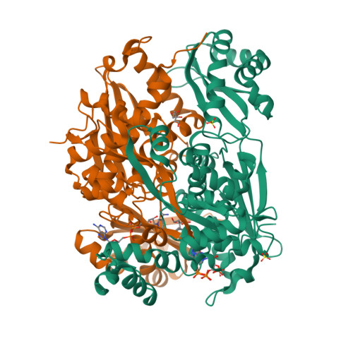 RCSB PDB - 8GDN: Structure of PmHMGR bound to mevalonate, CoA and NAD.