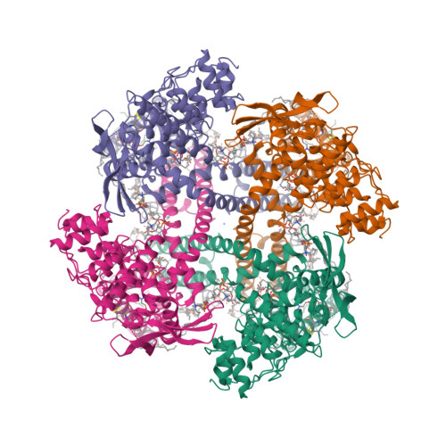 RCSB PDB - 8GF9: Cryo-EM structure of human TRPV1 in cNW11 nanodisc and ...