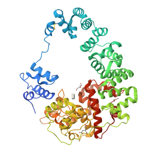 RCSB PDB - 8GFP: Crystal structure of soluble lytic transglycosylase ...
