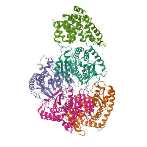 RCSB PDB - 8GGH: Structure of Trypanosoma (MDH)4-PEX5, distal conformation