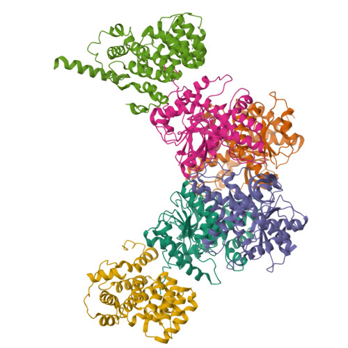 RCSB PDB - 8GH2: Structure of Trypanosoma (MDH)4-(Pex5)2, close ...