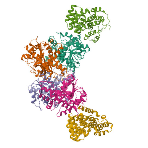 RCSB PDB - 8GH3: Structure of Trypanosoma (MDH)4-(Pex5)2, distal ...