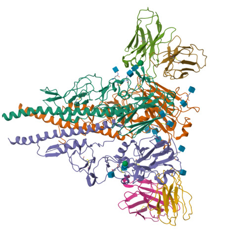RCSB PDB - 8GHK: CryoEM structure of Influenza A virus A/Melbourner/1/ ...