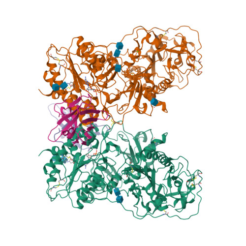 RCSB PDB - 8GHR: Structure of human ENPP1 in complex with variable ...