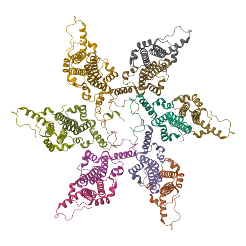 RCSB PDB - 8GHS: Empty HBV Cp183 capsid with importin-beta, subparticle reconstruction at 2-fold ...