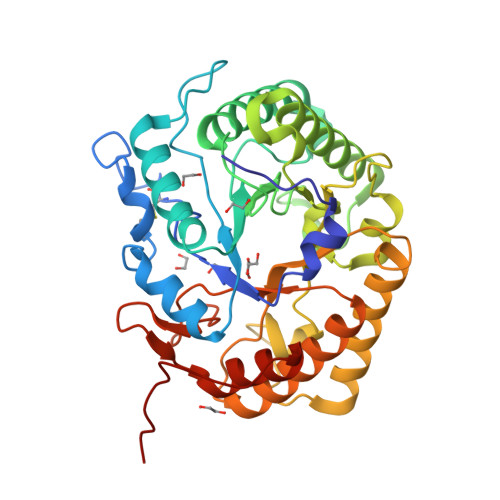 RCSB PDB - 8GHX: Crystal Structure of CelD Cellulase from the Anaerobic ...