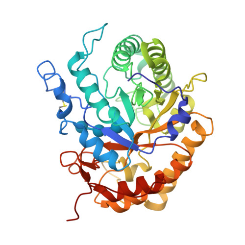 RCSB PDB - 8GHY: Crystal Structure of the E154D mutant CelD Cellulase ...