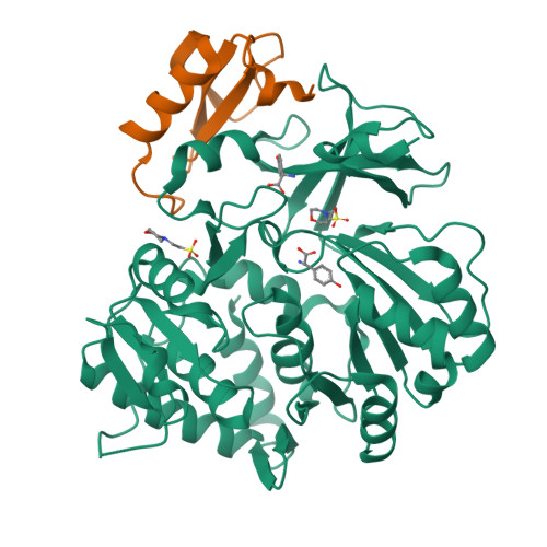 RCSB PDB - 8GIC: A1 Tei + Hpg: Adenylation domain 1 core construct from ...