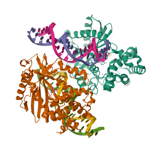 RCSB PDB - 8GIP: Structure of Ternary Complex of mouse cGAS with dsDNA ...