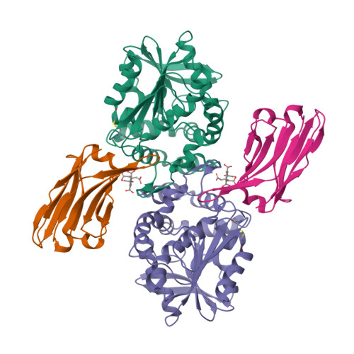 RCSB PDB - 8GJR: Crystal Structure of Nanobody VHH114 Bound to Its ...