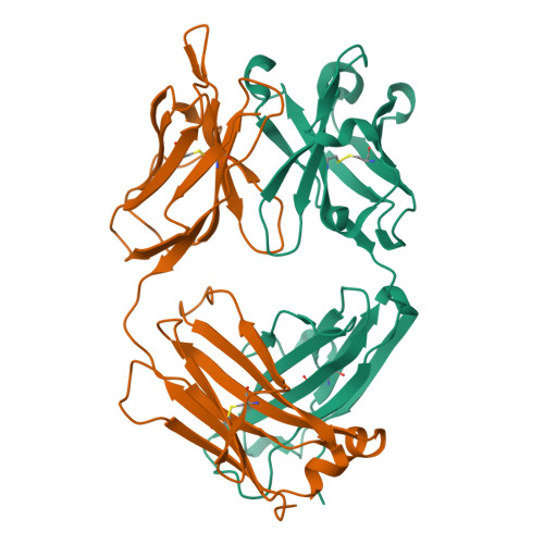 RCSB PDB - 8GKJ: Crystal Structure of the Murine MUC16 Specific ...