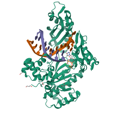 RCSB PDB - 8GKR: Crystal structure of human DNA polymerase eta ...