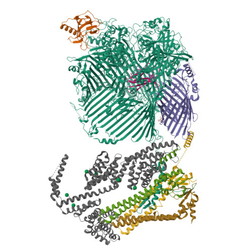 RCSB PDB - 8GL8: The Type 9 Secretion System Extended Translocon - SprA ...