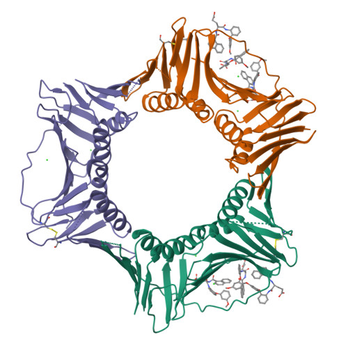 RCSB PDB - 8GLA: Co-crystal structure of caPCNA bound to the AOH1996 ...