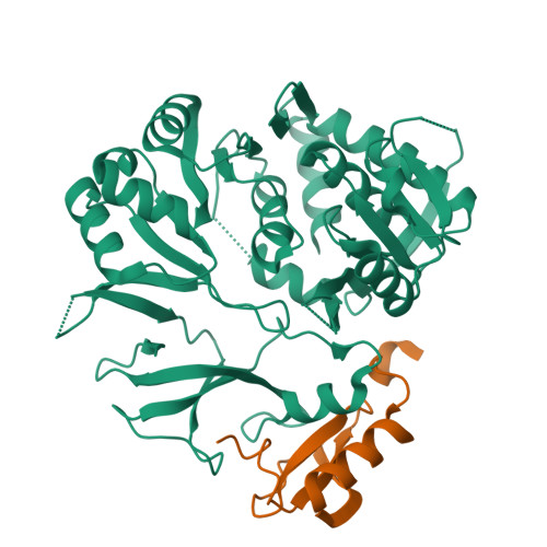 RCSB PDB - 8GLC: A1 AncAla: Adenylation domain 1 core construct from ...