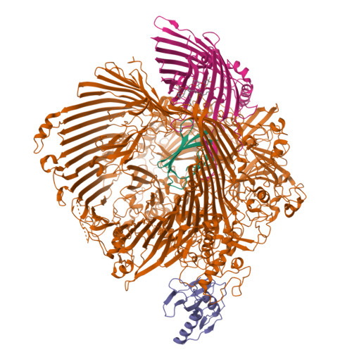 RCSB PDB - 8GLK: The Type 9 Secretion System dGldL peak II, NucA ...