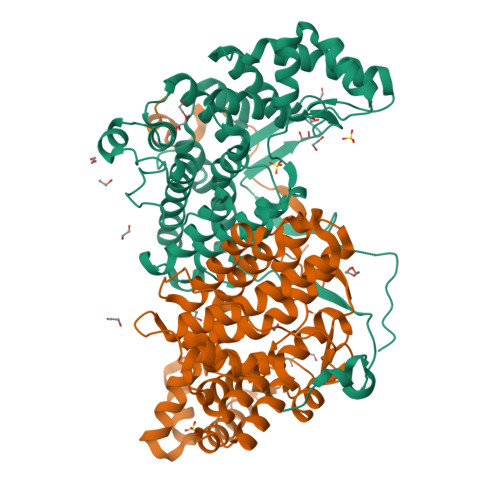 RCSB PDB - 8GLL: R149E variant of Citrate Synthase (CitA) in ...