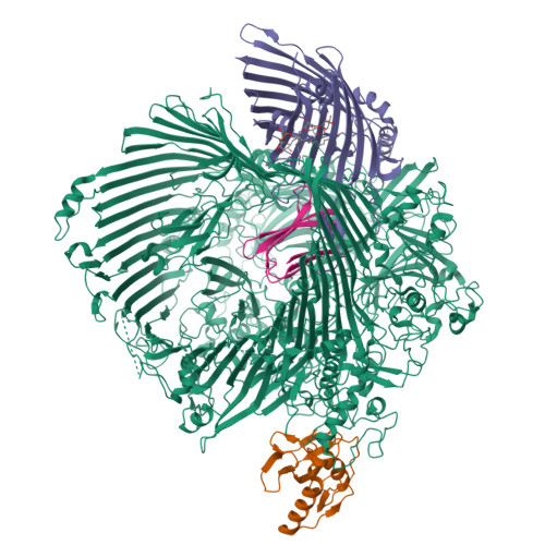 RCSB PDB - 8GLN: The Type 9 Secretion System in vivo assembled, RemZ ...