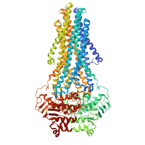 RCSB PDB - 8GMJ: CryoEM structure of P-Glycoprotein in collapsed closed ...