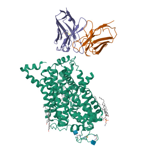 RCSB PDB - 8GNK: CryoEM structure of cytosol-facing, substrate-bound ...