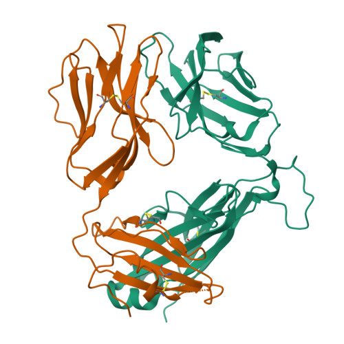 RCSB PDB - 8GOP: SARS-CoV-2 specific private TCR RLQ7