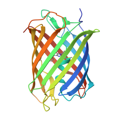 RCSB PDB - 8GOS: Crystal structure of fluorescent protein RasM